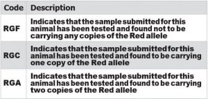 Understanding the Genetics of Coat Colour - Angus Australia