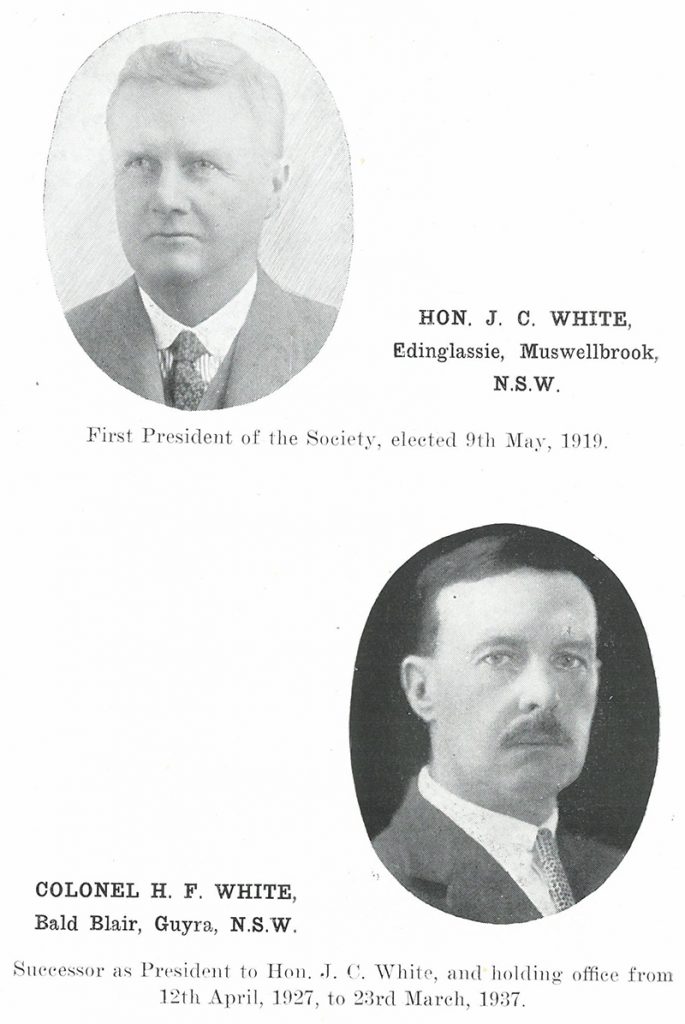 Angus Through the Ages: Part 1, 1919-1944 - Angus Australia