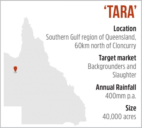 Adaptability and Resilience key at “Tara” - Angus Australia