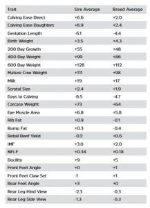 Most Widely Used Sires in Last Two Years - Angus Australia