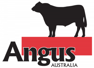 Database Search - Angus Australia