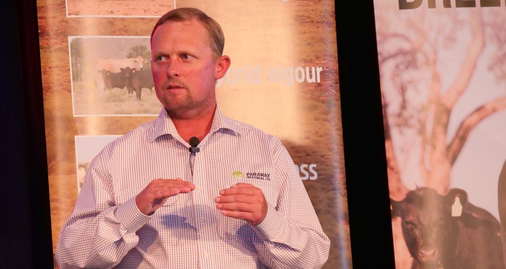 The Angus Influence - Angus Australia