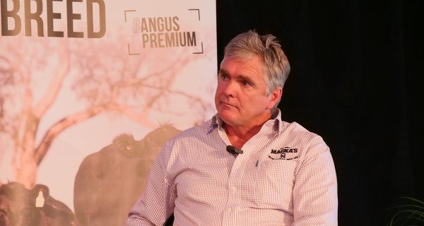 The Angus Influence - Angus Australia