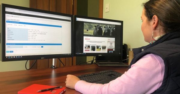 Using angus.tech software - Angus Australia