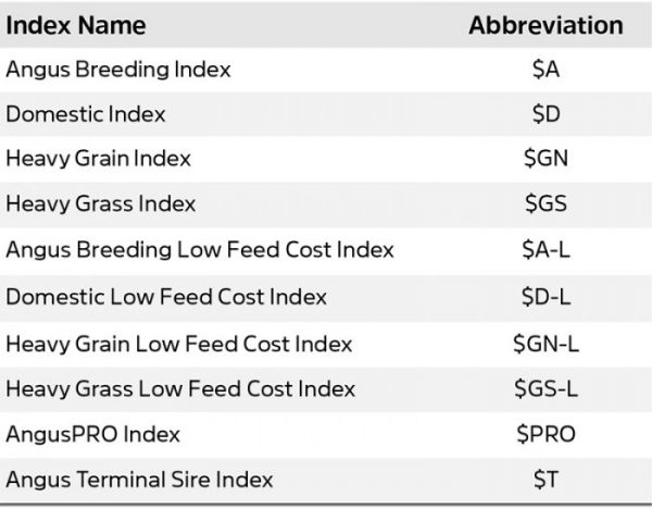 Introducing New Angus Selection Indexes - Angus Australia