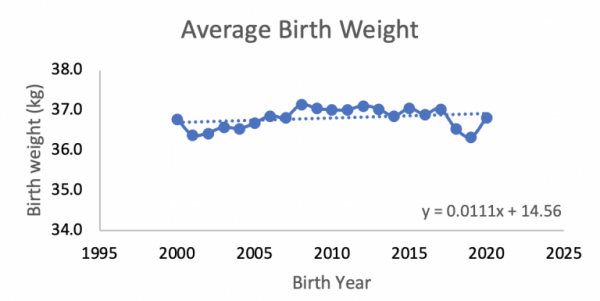 Utilising Angus Genetics to Bend the Curve - Angus Australia