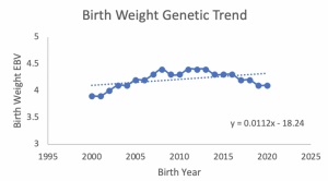 Utilising Angus Genetics to Bend the Curve - Angus Australia