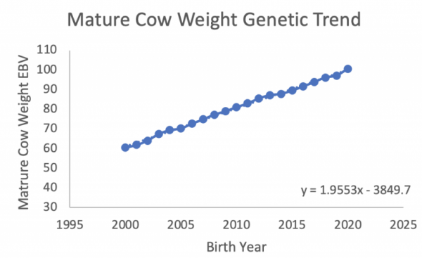 Utilising Angus Genetics to Bend the Curve - Angus Australia