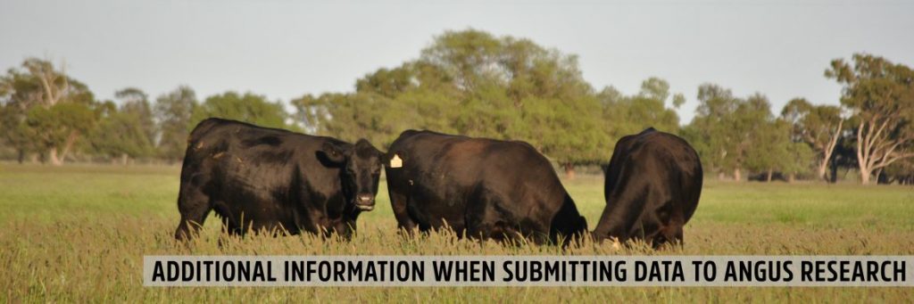 Collection Guidelines for Angus Research - Angus Australia