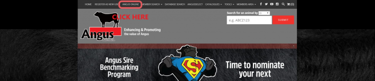 Ordering DNA Services with Angus ONLINE - Angus Australia