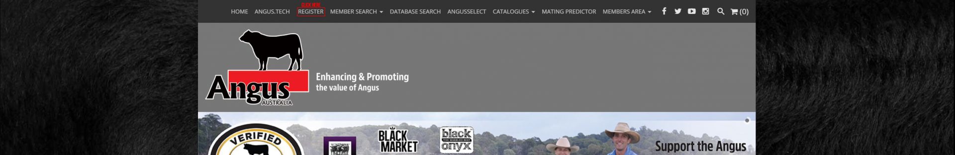 Signing in to Angus.Tech - Angus Australia