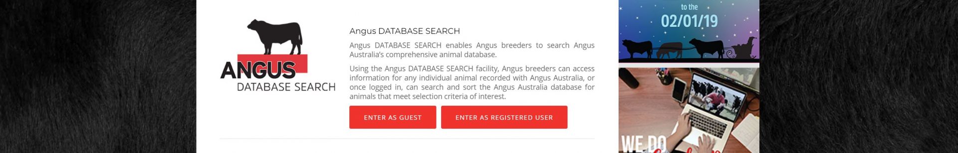 Signing in to Angus.Tech - Angus Australia