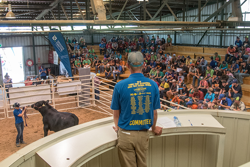 What is Angus SaleSELECT - Angus Australia