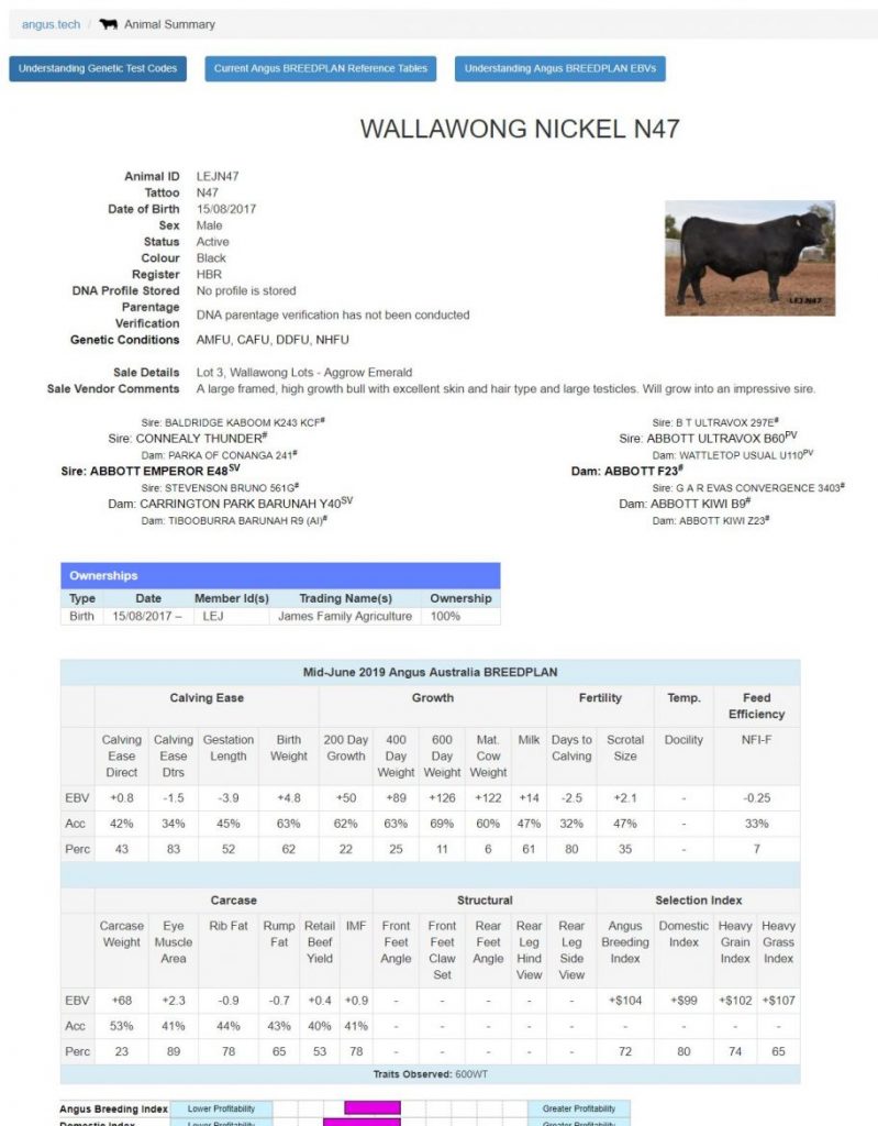 Generating URL links for a group of animals - Angus Australia