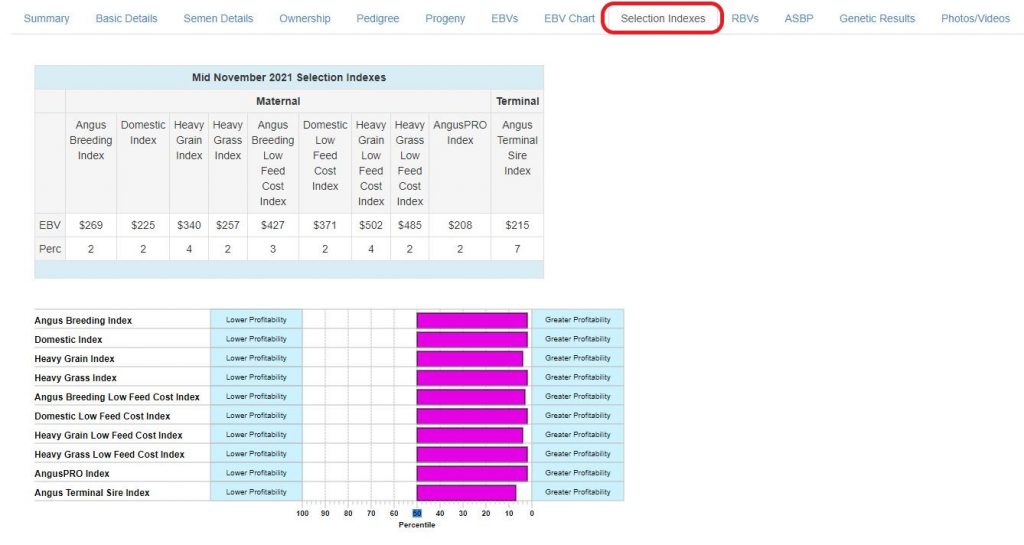 Accessing the selection indexes - Angus Australia