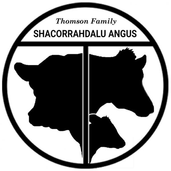 Shacorrahdalu Angus Invitational Bull Sale - Angus Australia