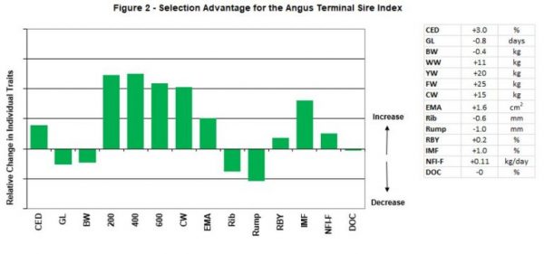 Angus Terminal Sire Index ($T) - Angus Australia