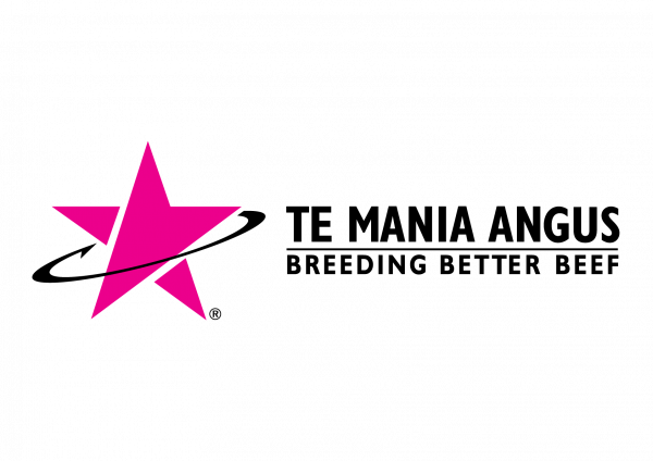 Te Mania Angus Autumn Bull Sale - Angus Australia