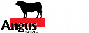Angus Australia - Angus Australia