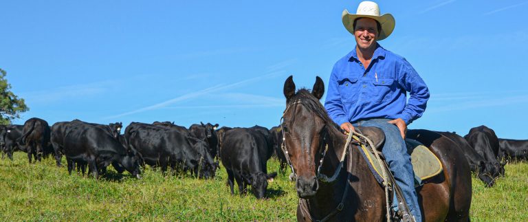 Brands - Angus Australia