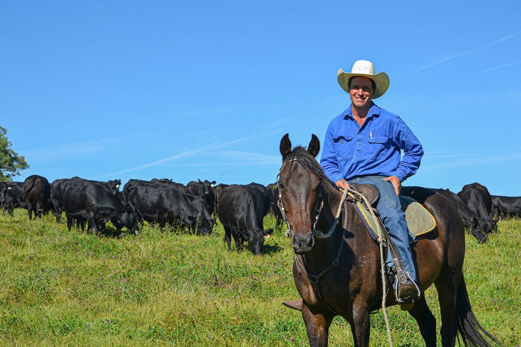 VERIFIED BLACK ANGUS BEEF - Angus Australia