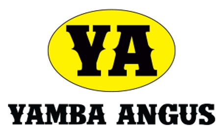 Yamba Angus Bull Sale 2023 - Angus Australia