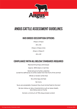Verified Black Angus Beef - Angus Australia