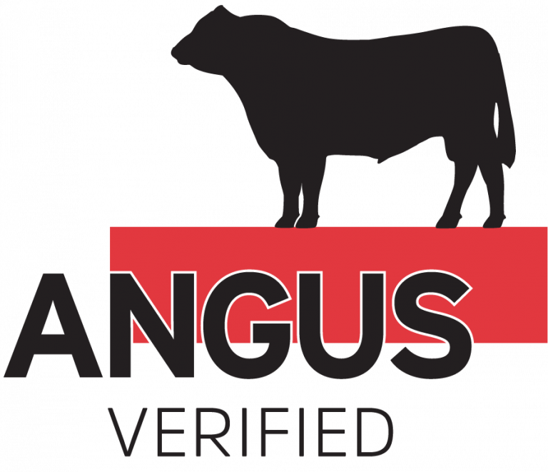 Overview - Angus Australia