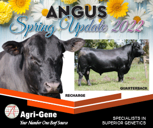 Foot Angle - Angus Australia