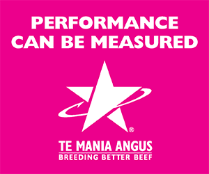 History of Angus - Angus Australia