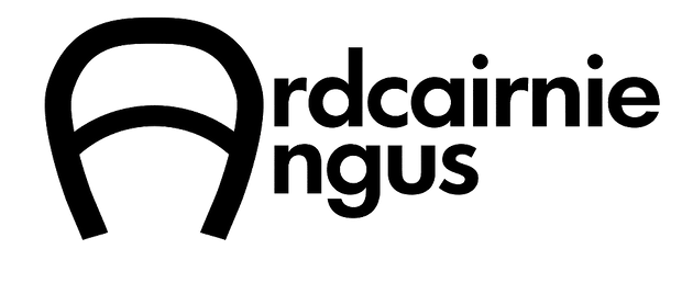 Ardcairnie Angus 2023 Bull Sale - Angus Australia