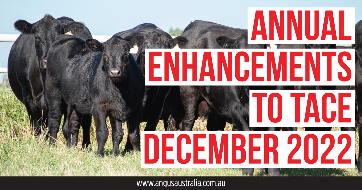 Enhancements to TACE - Angus Australia Enhancements to TACE