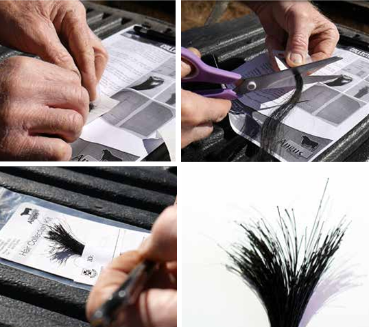 Hair: Collection & Storage Guidelines - Angus Australia