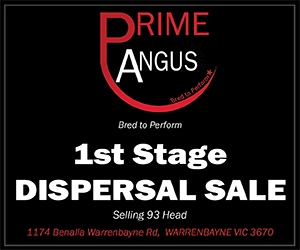 History of Angus - Angus Australia