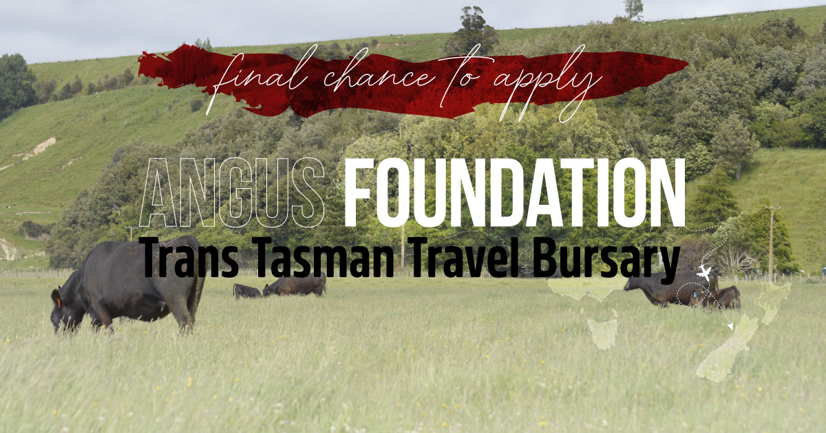 APPLY FOR THE CHANCE OF A LIFETIME: Trans Tasman Travel Bursary - Angus Australia