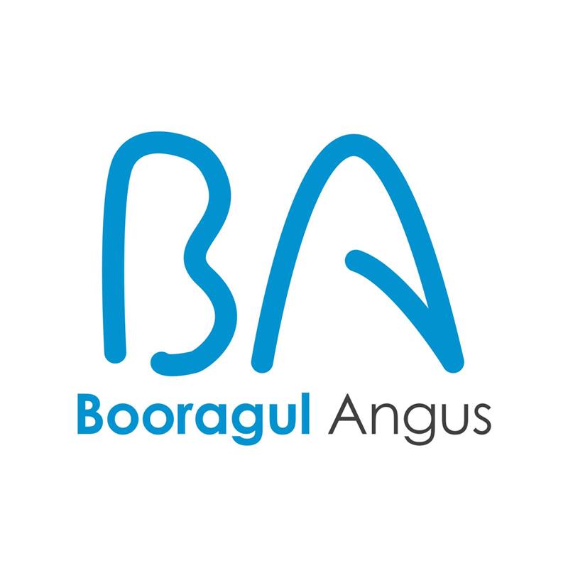 Booragul Angus Annual Bull Sale 2023 - Angus Australia