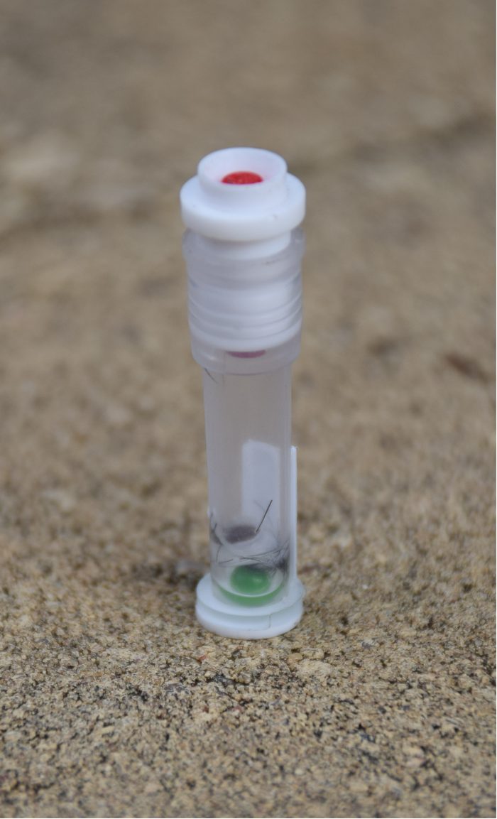 TSU: Collection & Storage Guidelines - Angus Australia