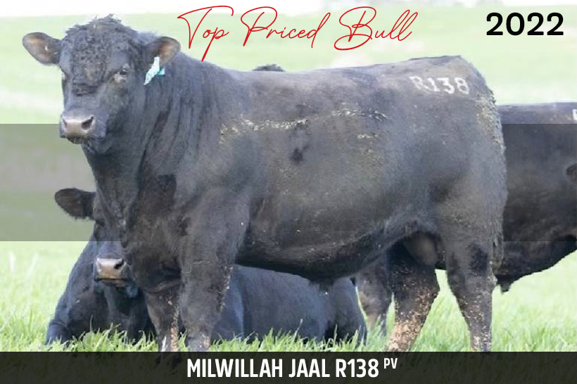 Sale Statistics & Record Prices - Angus Australia