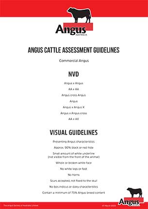 Verified Black Angus Beef - Angus Australia