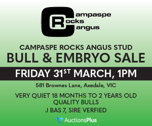 Glatz’s Black Angus Recovery Appeal - Angus Australia