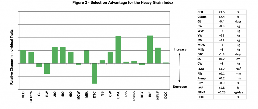 Heavy Grain Indexes ($GN, $GN-L) - Angus Australia