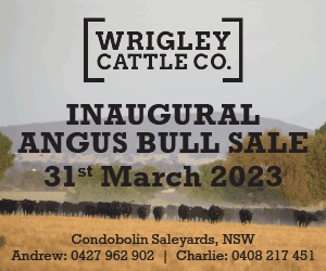 Understanding Genomics - Angus Australia