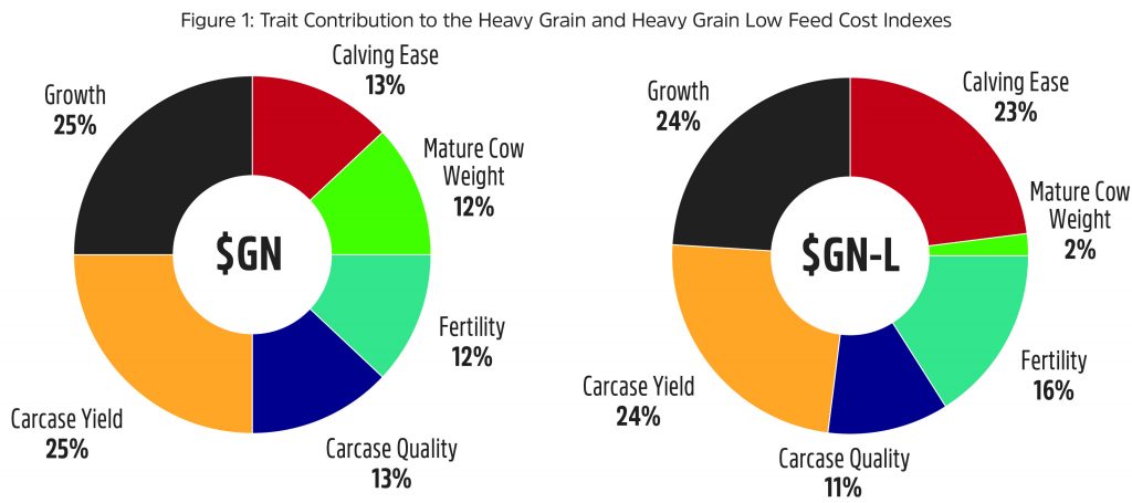 Heavy Grain Indexes ($GN, $GN-L) - Angus Australia