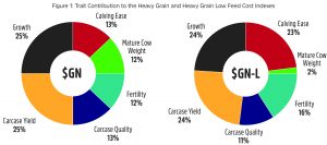 Heavy Grain Indexes ($GN, $GN-L) - Angus Australia