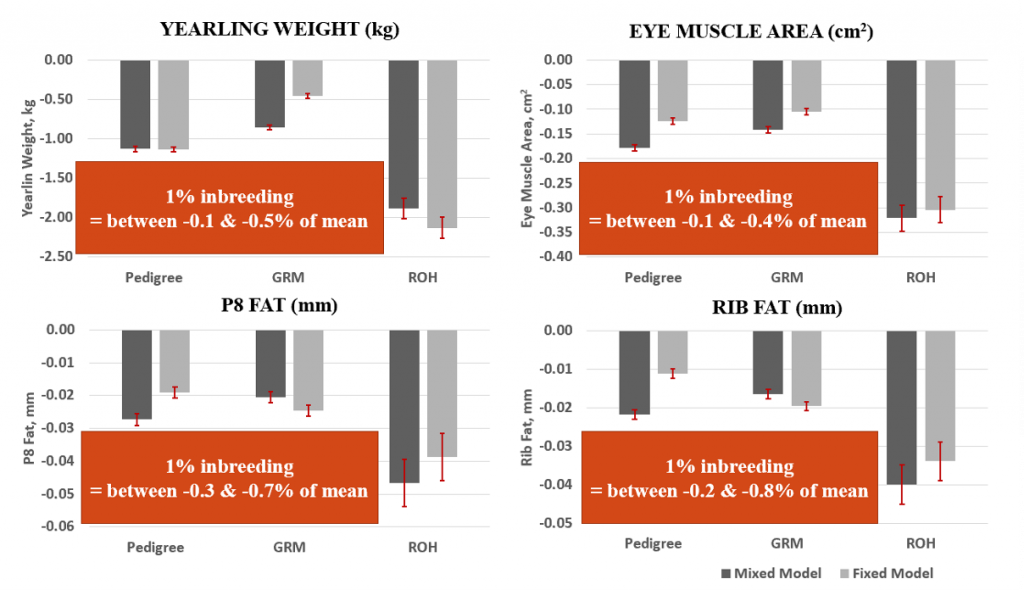 Inbreeding depression in the Australian Angus beef cattle herd: cause ...
