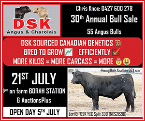 Understanding EBVs - Angus Australia