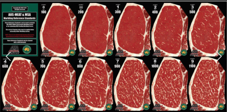MSA Marbling - Angus Australia