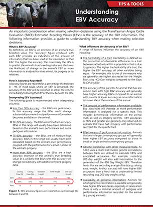 Considering Accuracy - Angus Australia