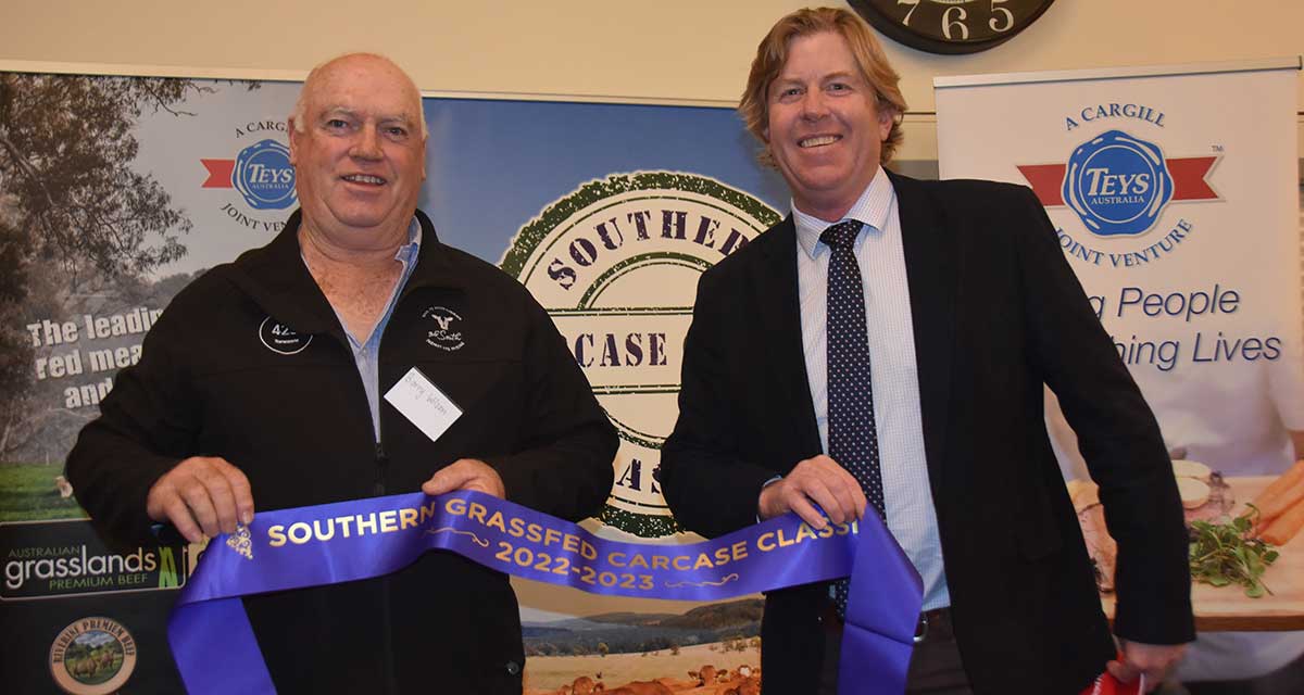 Angus perform in Southern Grassfed Carcase Classic - Angus Australia