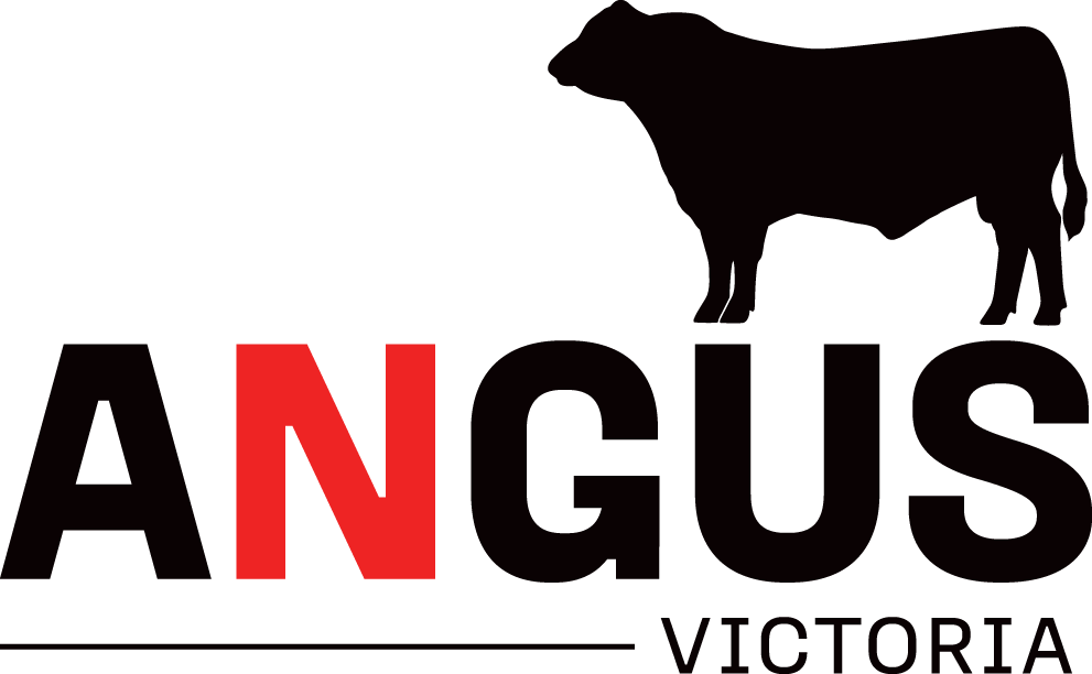 2024 Angus Youth National Roundup Special Awards - Angus Australia